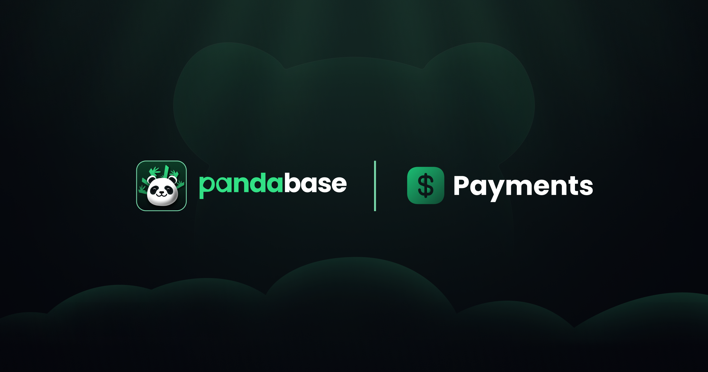 Pandabase Payments | Compliant infrastructure for everyone